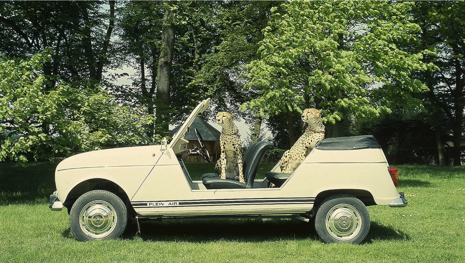 Raffaele Fusilli - Amministratore Delegato Renault Italia - CEOforLIFE - IT